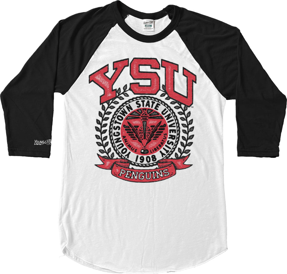 Youngstown State University Collection